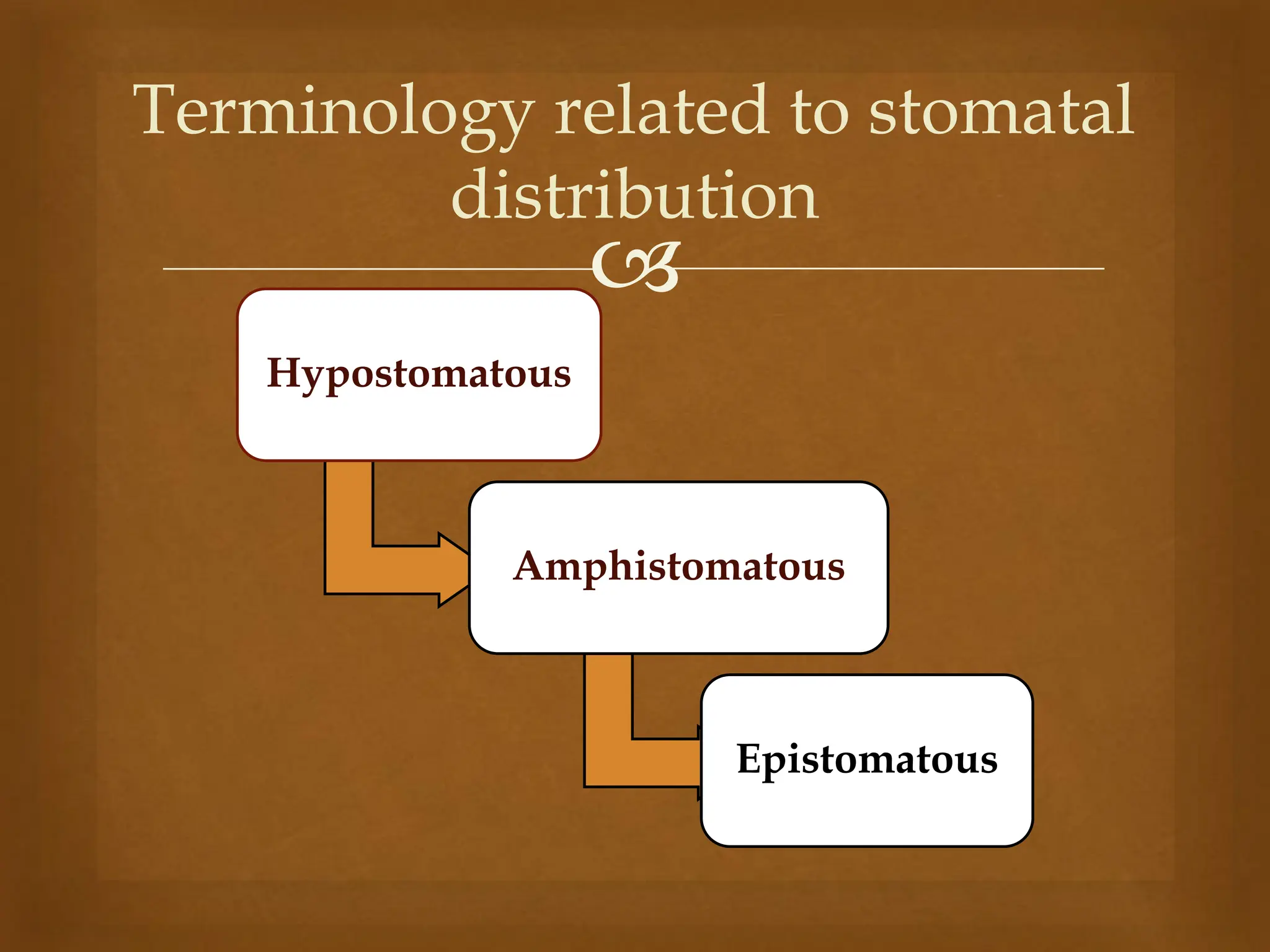 Transpiration-an important physiological feature in plants | PPT