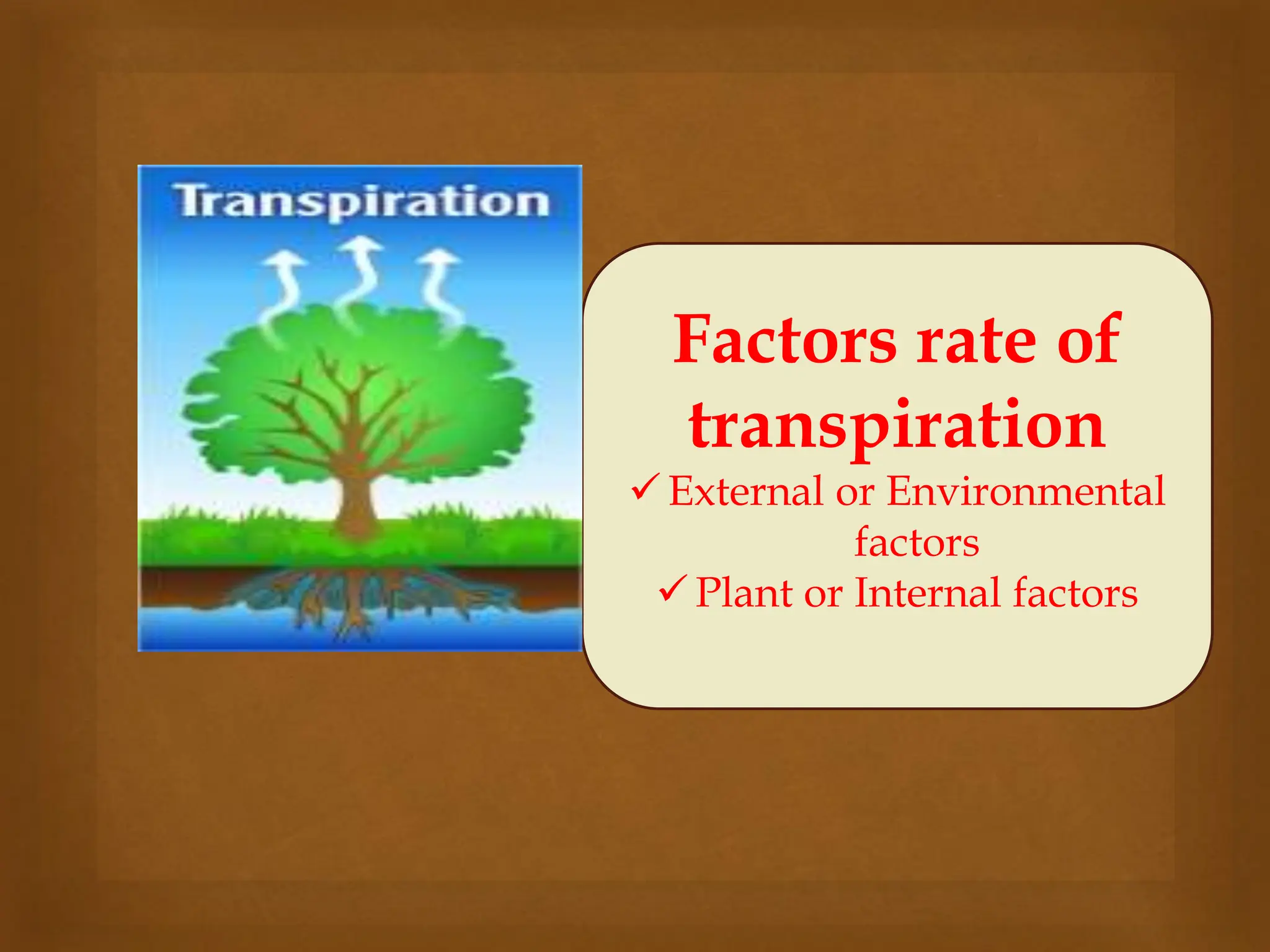 Transpiration-an important physiological feature in plants | PPT