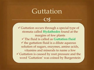 Transpiration-an important physiological feature in plants | PPT