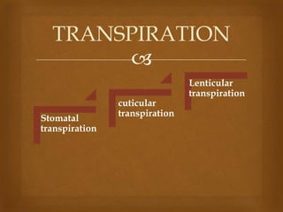 Transpiration-an important physiological feature in plants | PPT