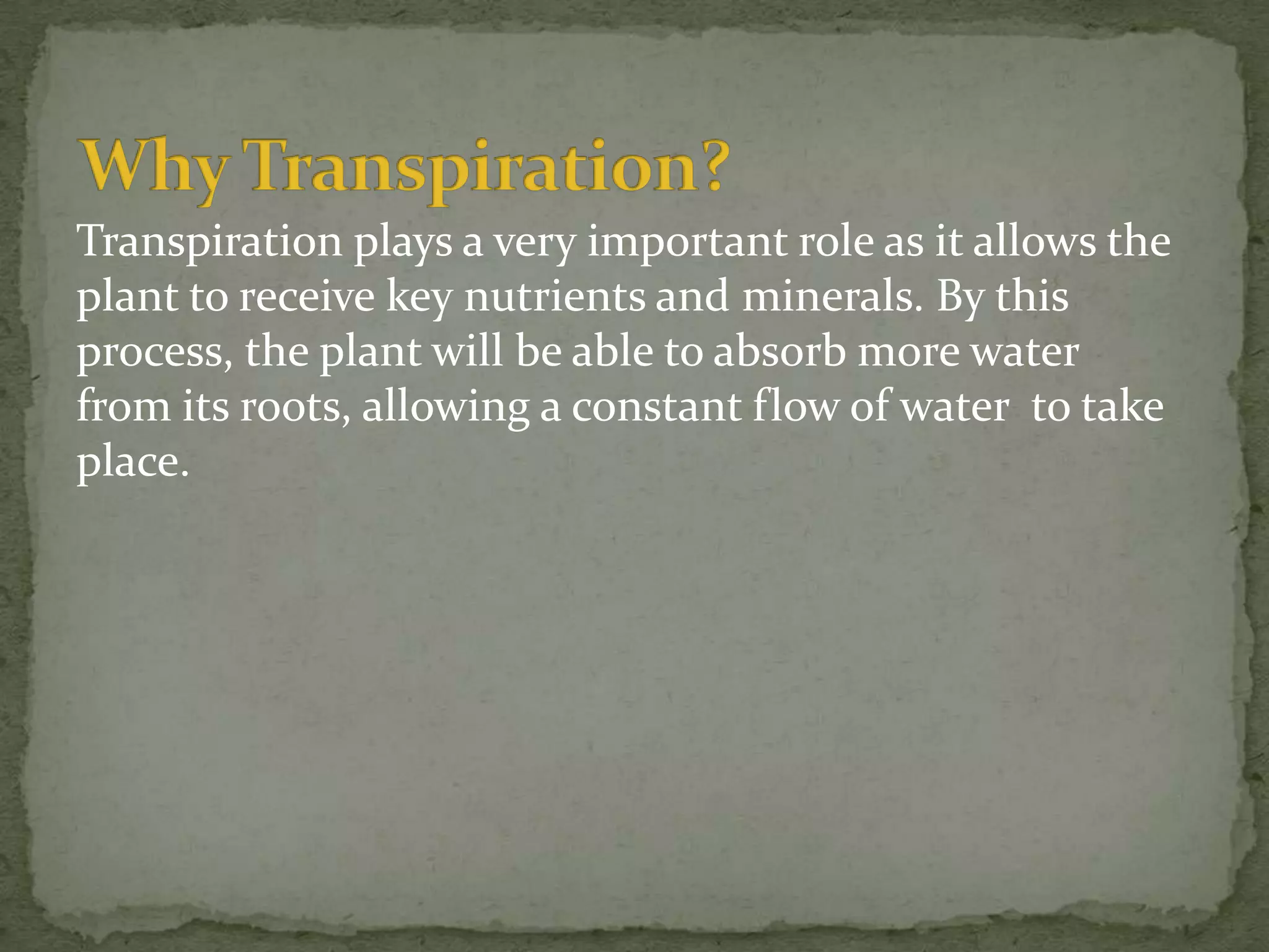 Transpiration and transpirational pull | PPTX | Gardening | Home & Garden