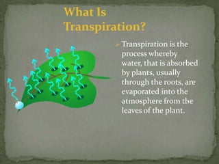 Transpiration and transpirational pull | PPTX | Gardening | Home & Garden