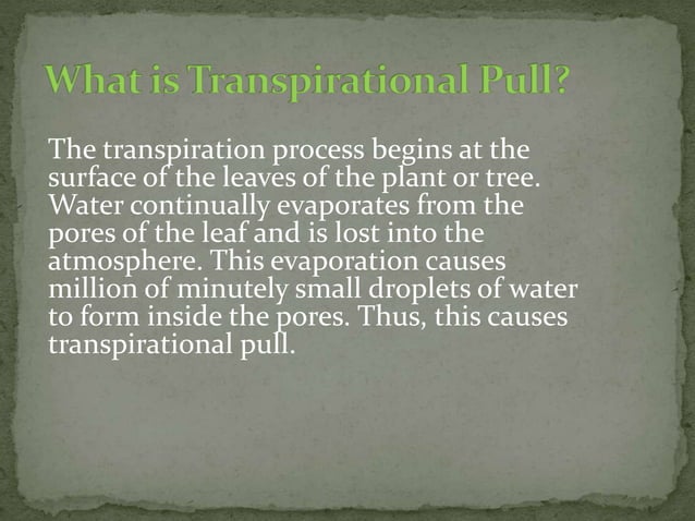 Transpiration and transpirational pull | PPTX | Gardening | Home & Garden