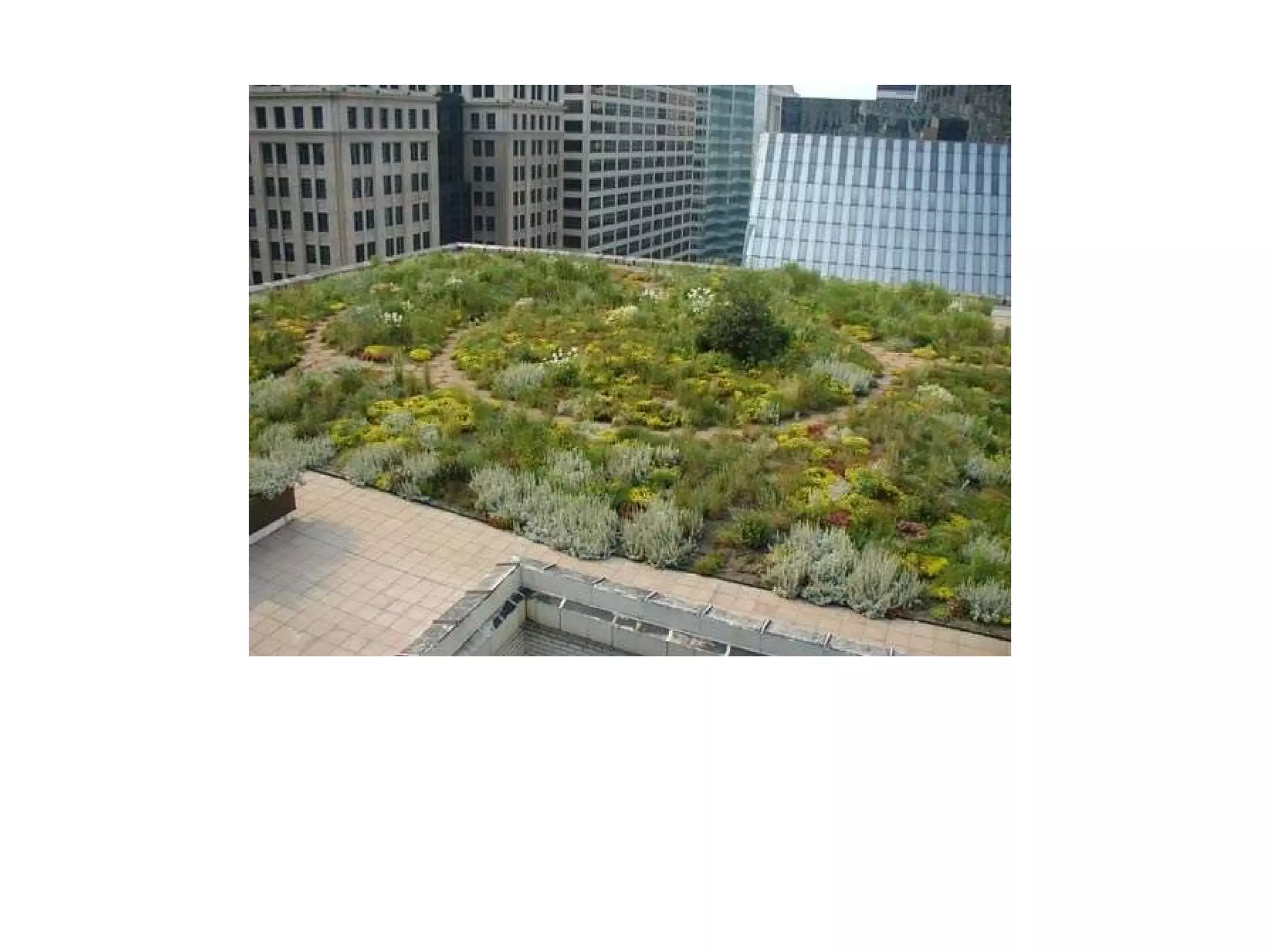 Transpiration demo | PPT