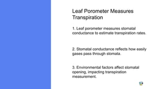 Transpiration_in_Plants_A_Comprehensive_Overview.pptx