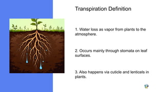 Transpiration_in_Plants_A_Comprehensive_Overview.pptx