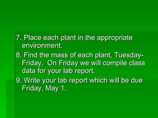 Transpiration Lab | PPT