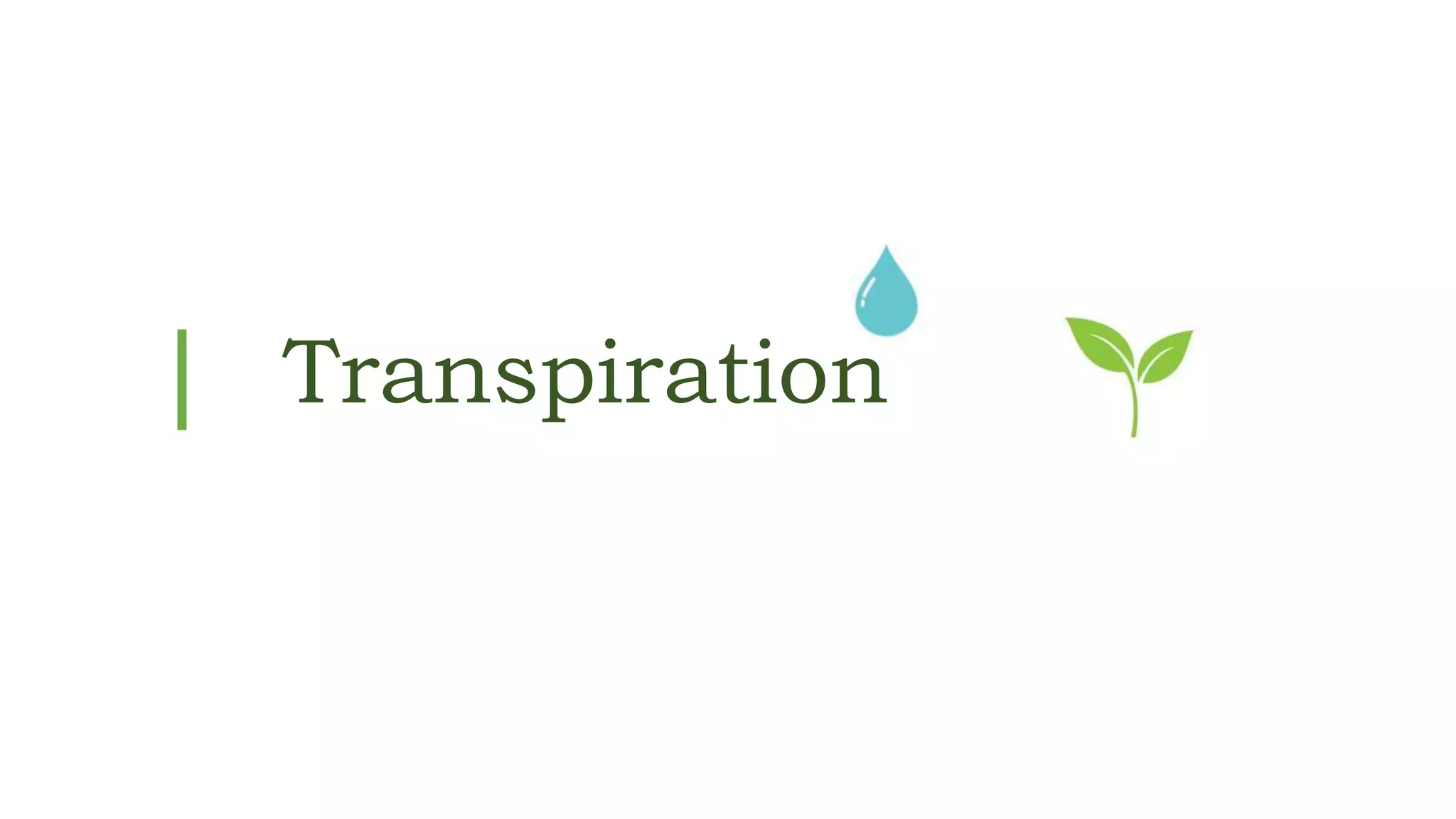 Transpiration | PPTX | Gardening | Home & Garden