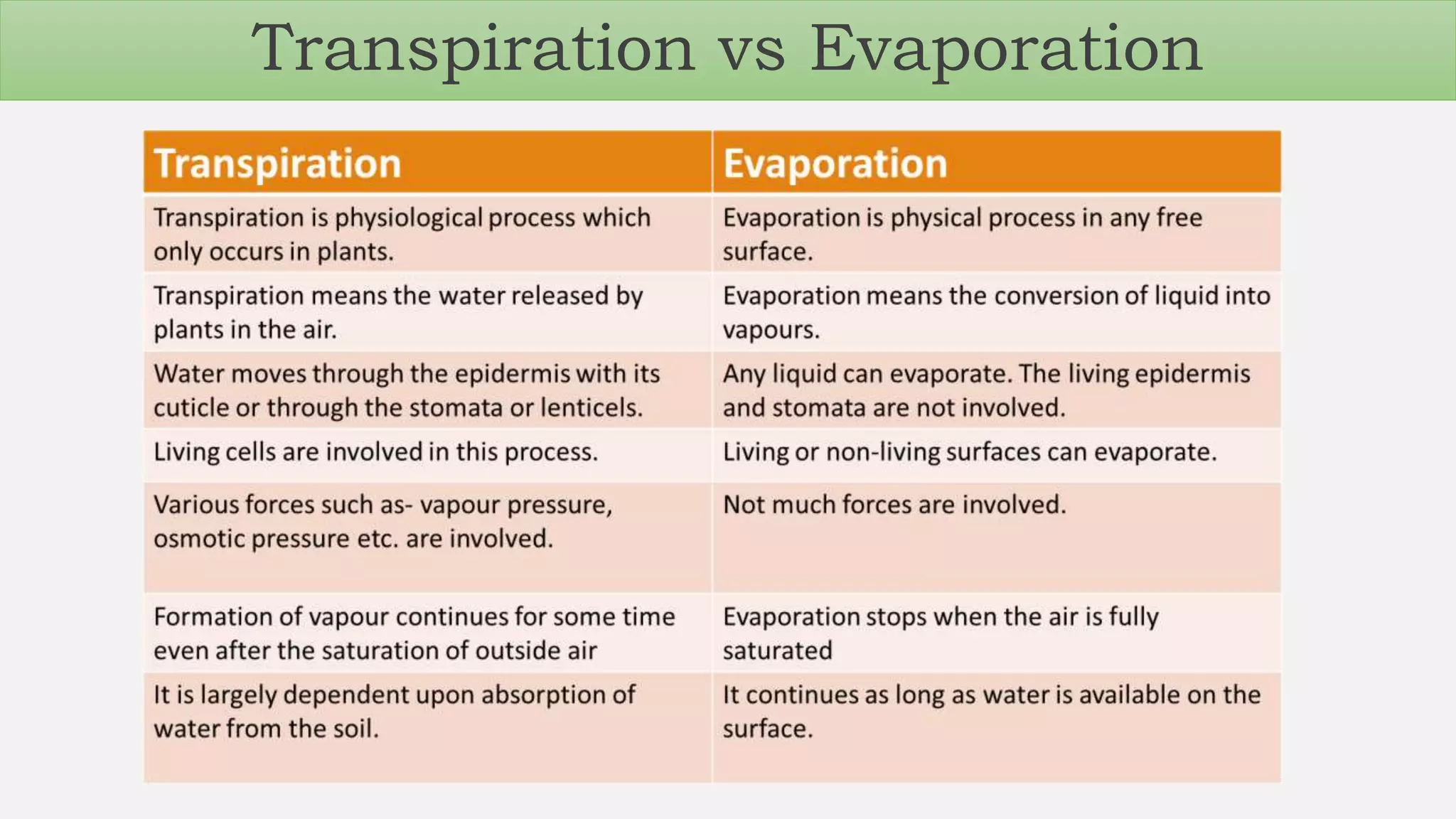 Transpiration | PPTX