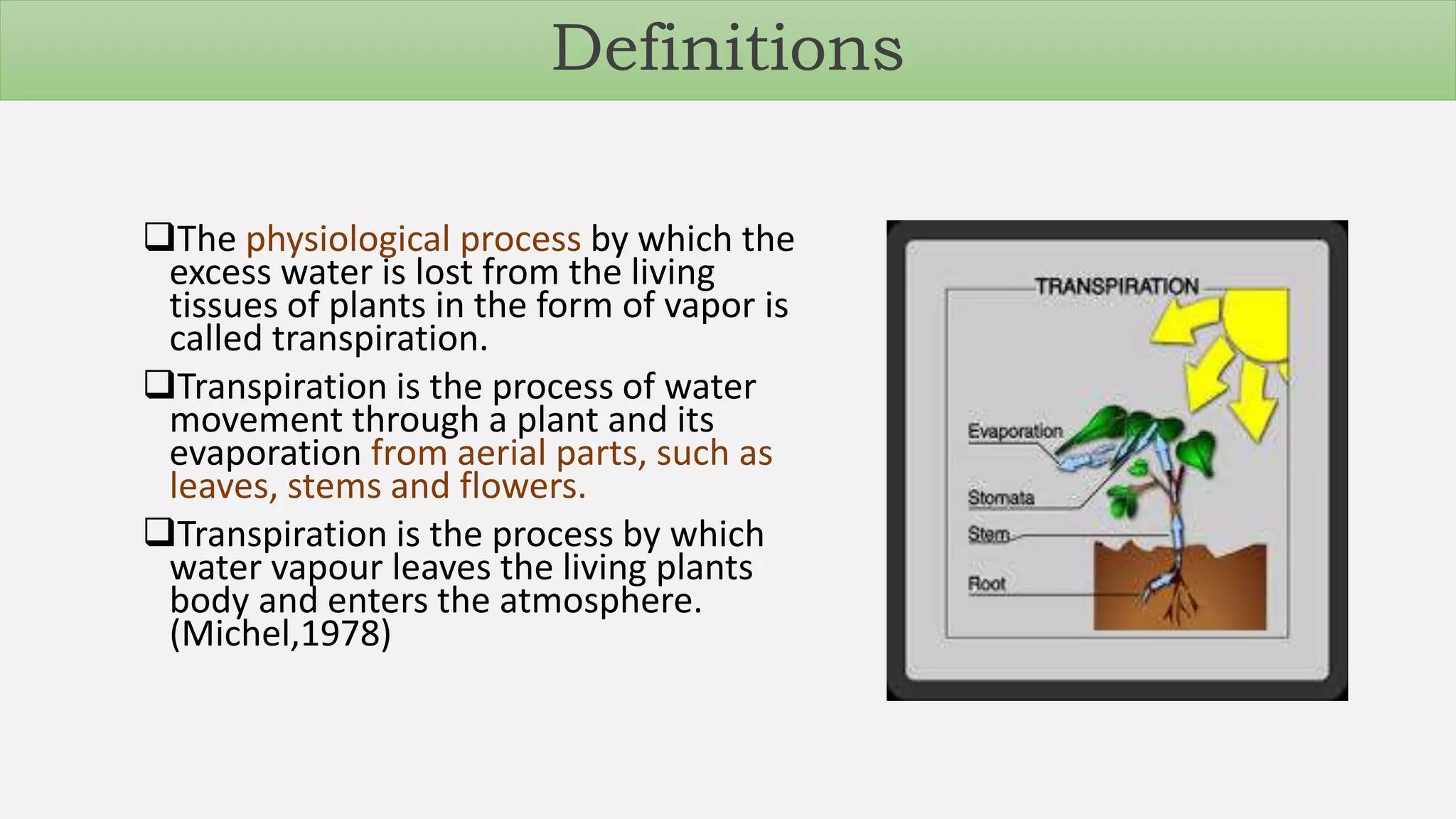 Transpiration | PPTX