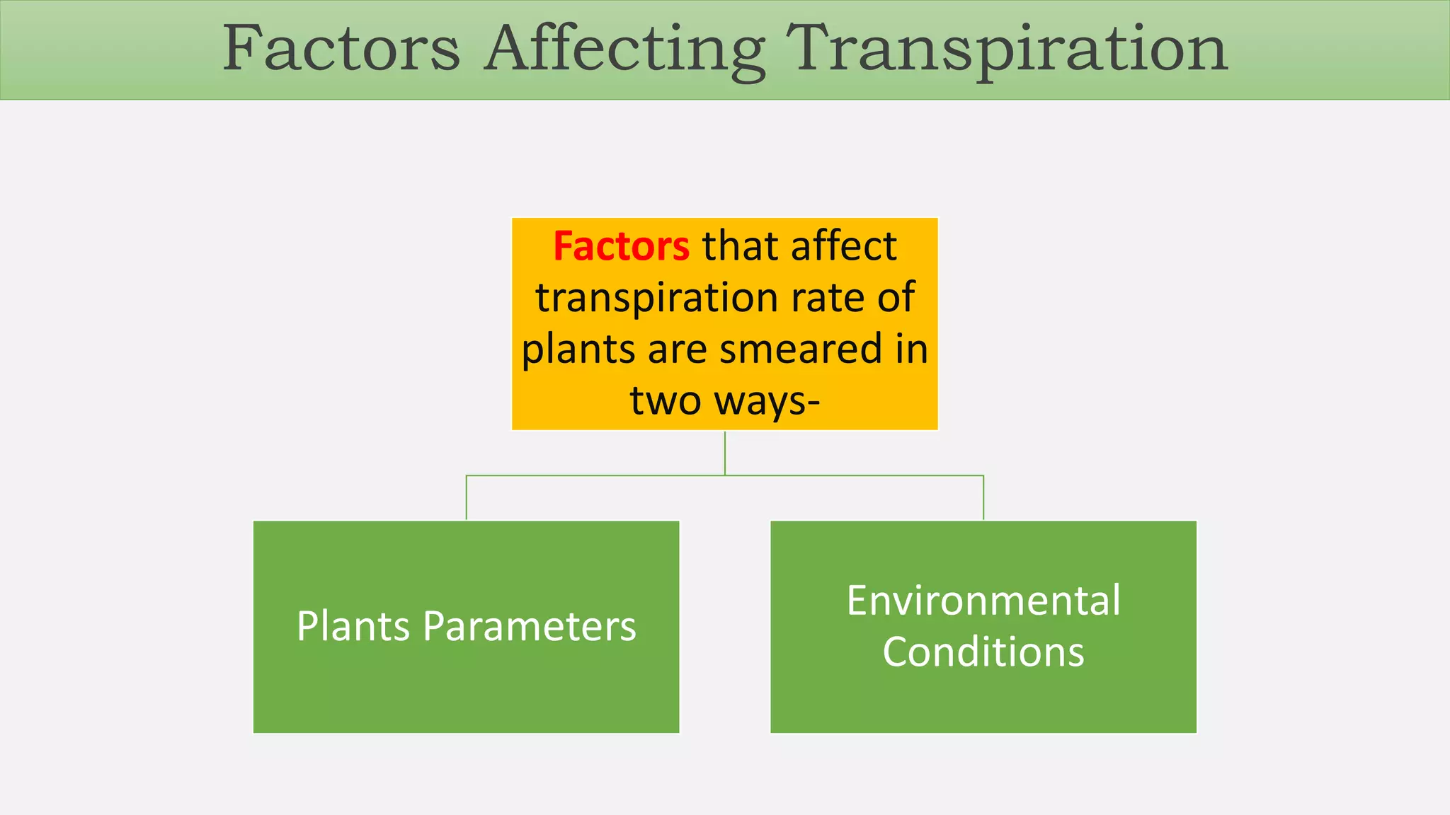 Transpiration | PPTX