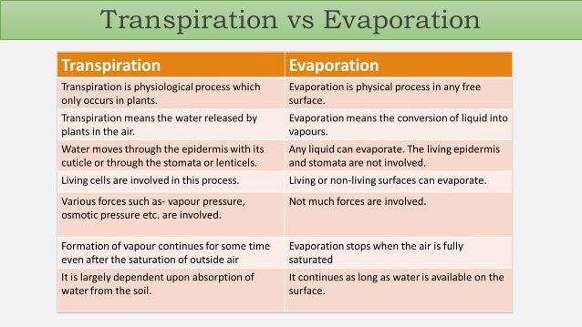 Transpiration