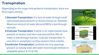 Transpiration plant physiology | PDF
