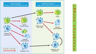 Transplant and Cancer Immunology | PPTX