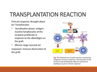 Transplant and Tumour immunology 05.08.25.pptx