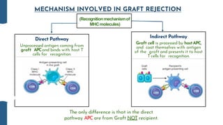 Transplantation-Immunology.pdf