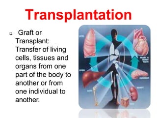 transplantation and immunity.pptx