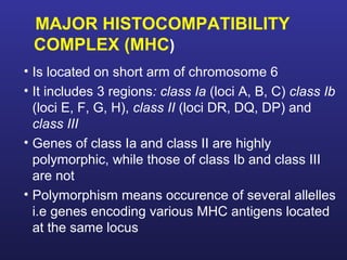 Transplantation immunology | PPT