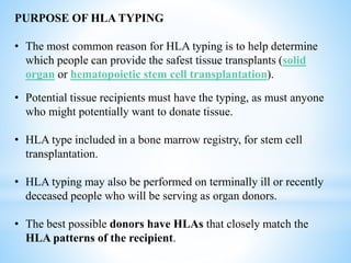 TRANSPLANTATION IMMUNOLOGY- MLR, HLA TYPING.pptx