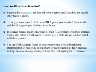 TRANSPLANTATION IMMUNOLOGY- MLR, HLA TYPING.pptx