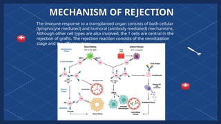 Transplantation Immunology and Pathology | PPTX