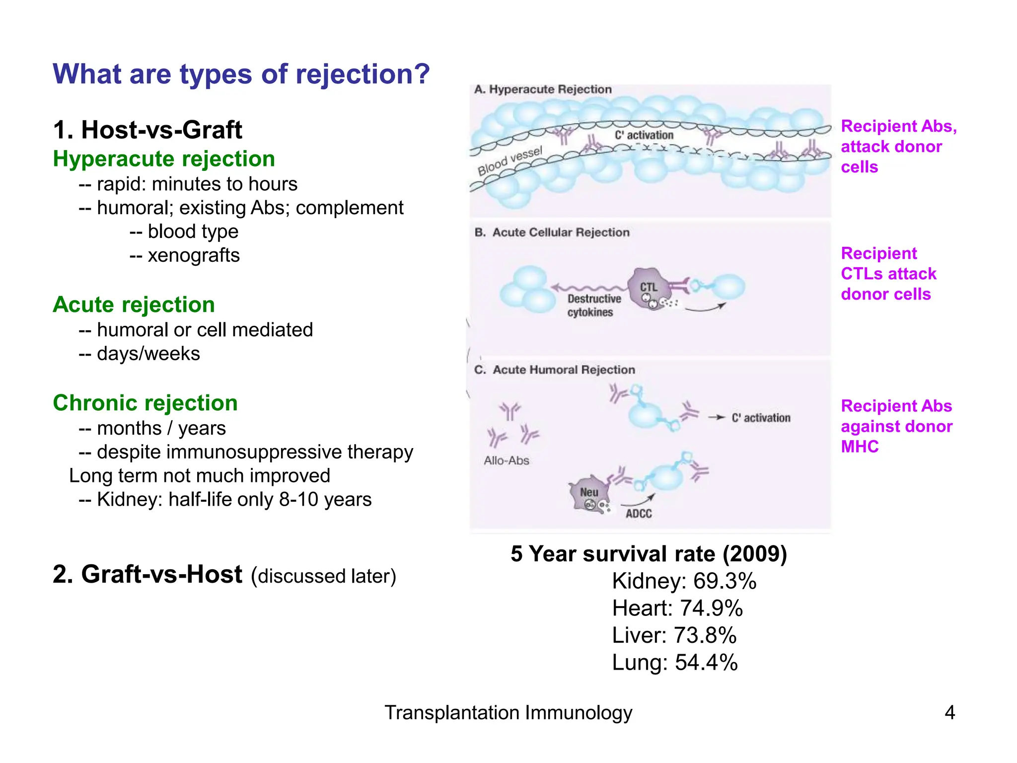 transplantation immunology for 2016 mph .ppt