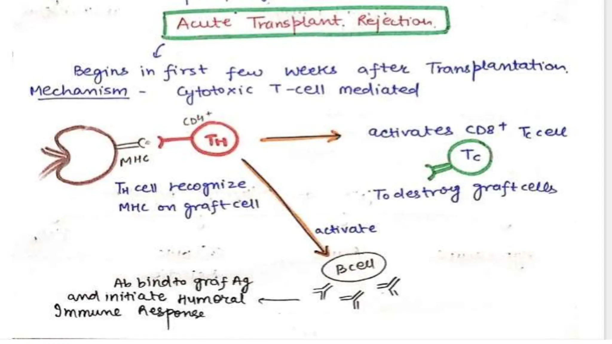 TRANSPLANTATION IMMUNOLOGY SEMINAR BY RANTA OWAIS.pptx