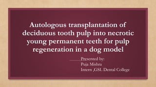Transplantation of decidous teeth pulp.pptx