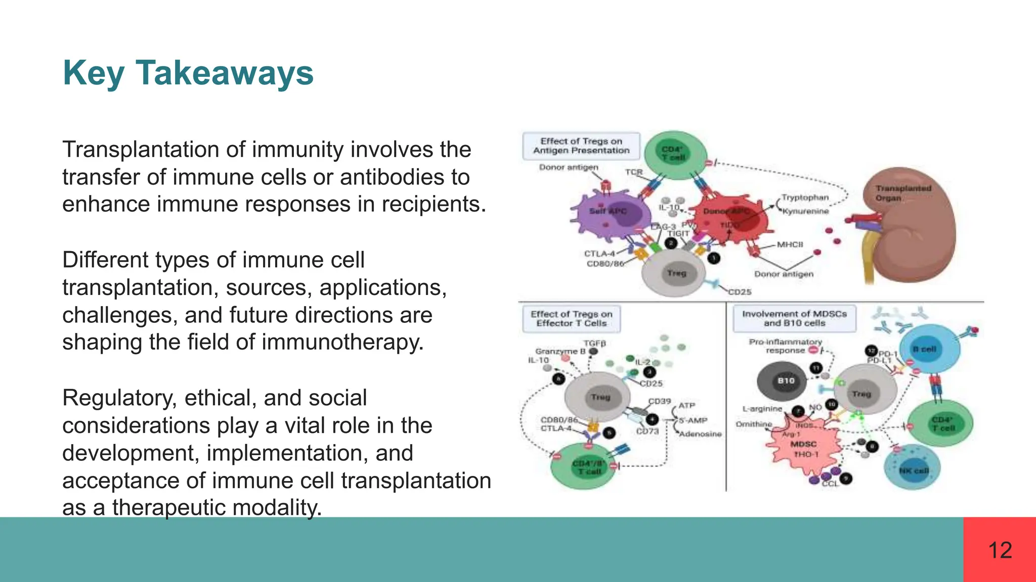 Transplantation Of Immunity immune system.pptx