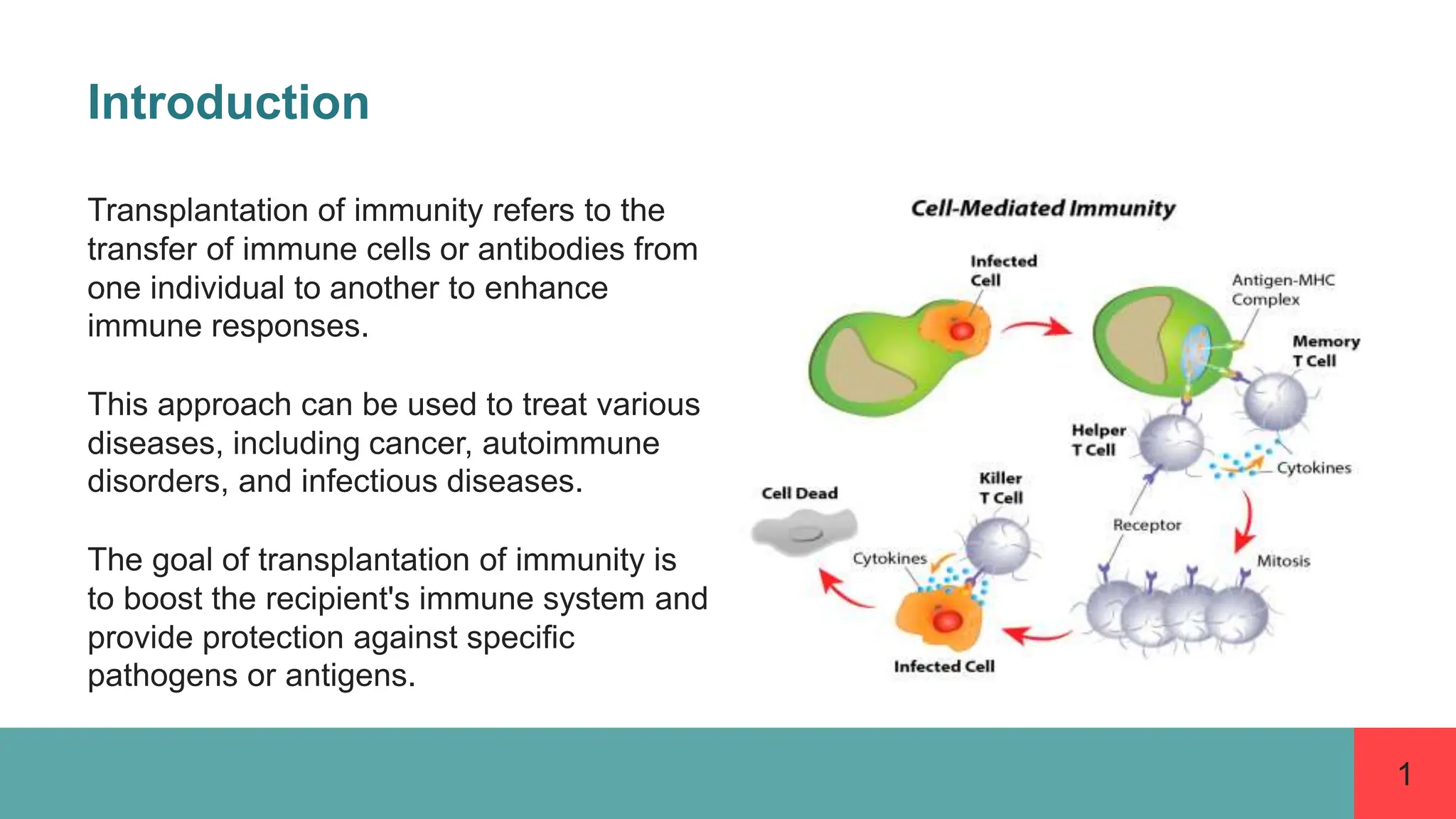 Transplantation Of Immunity immune system.pptx