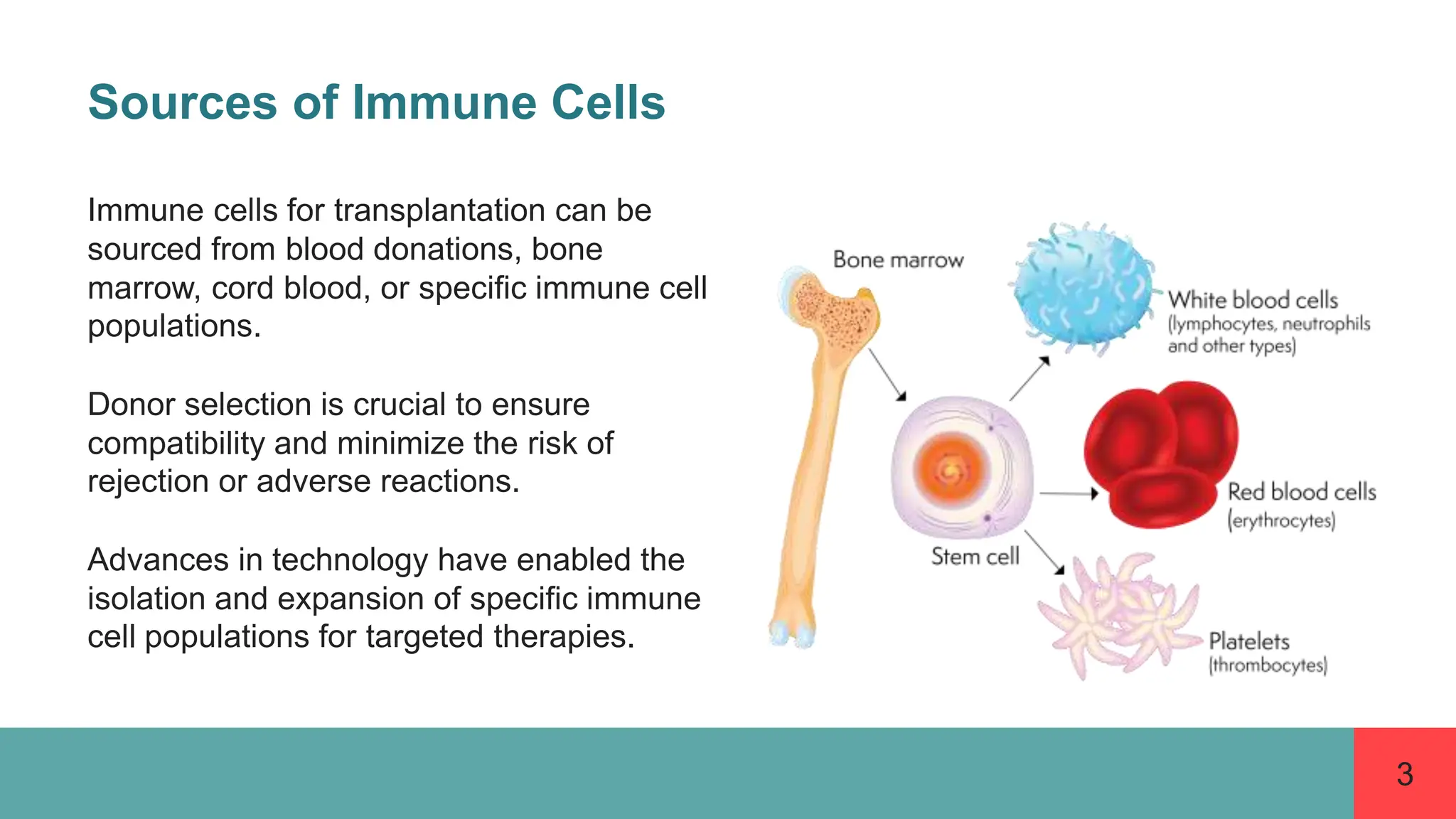 Transplantation Of Immunity immune system.pptx