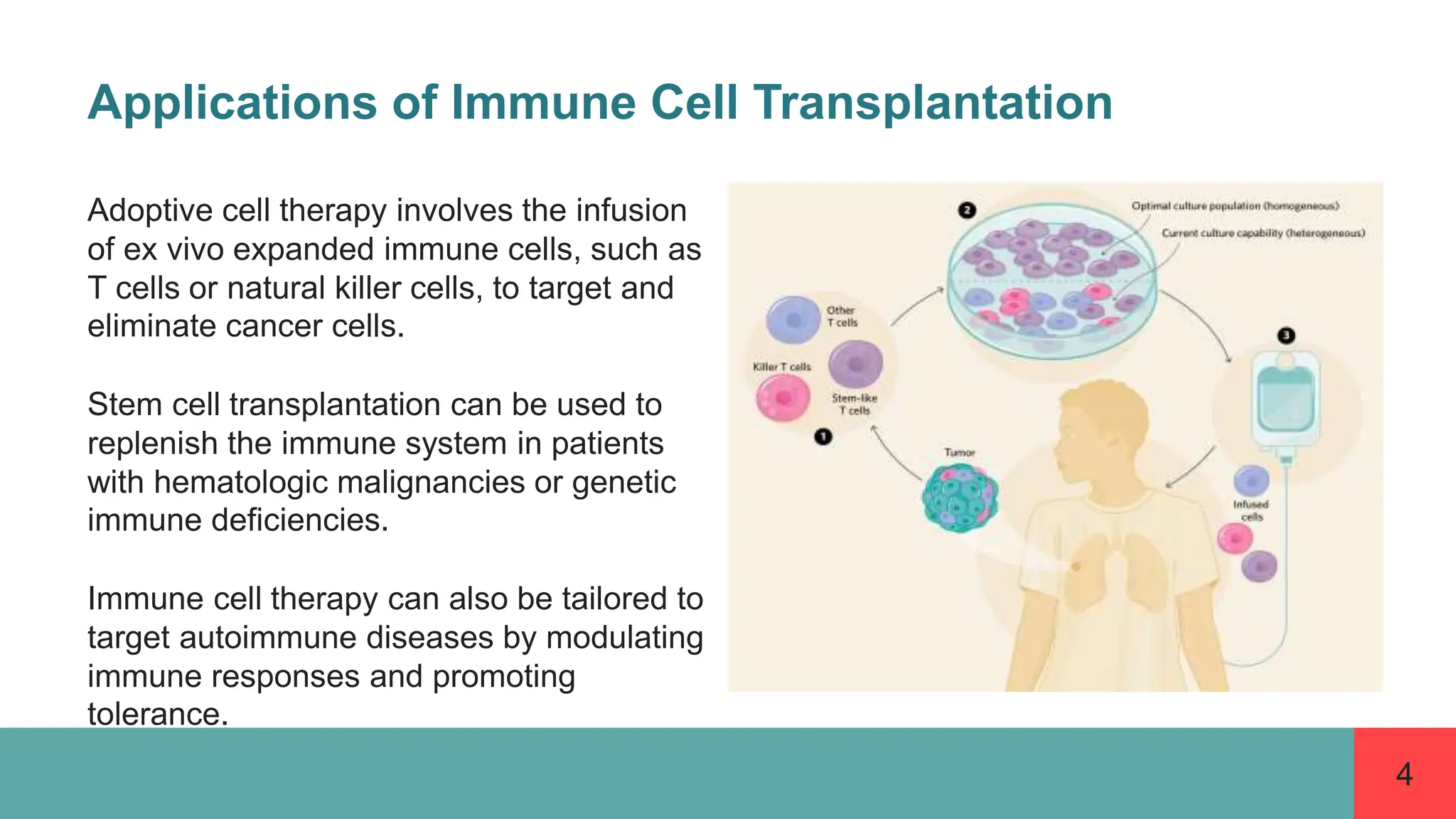 Transplantation Of Immunity immune system.pptx