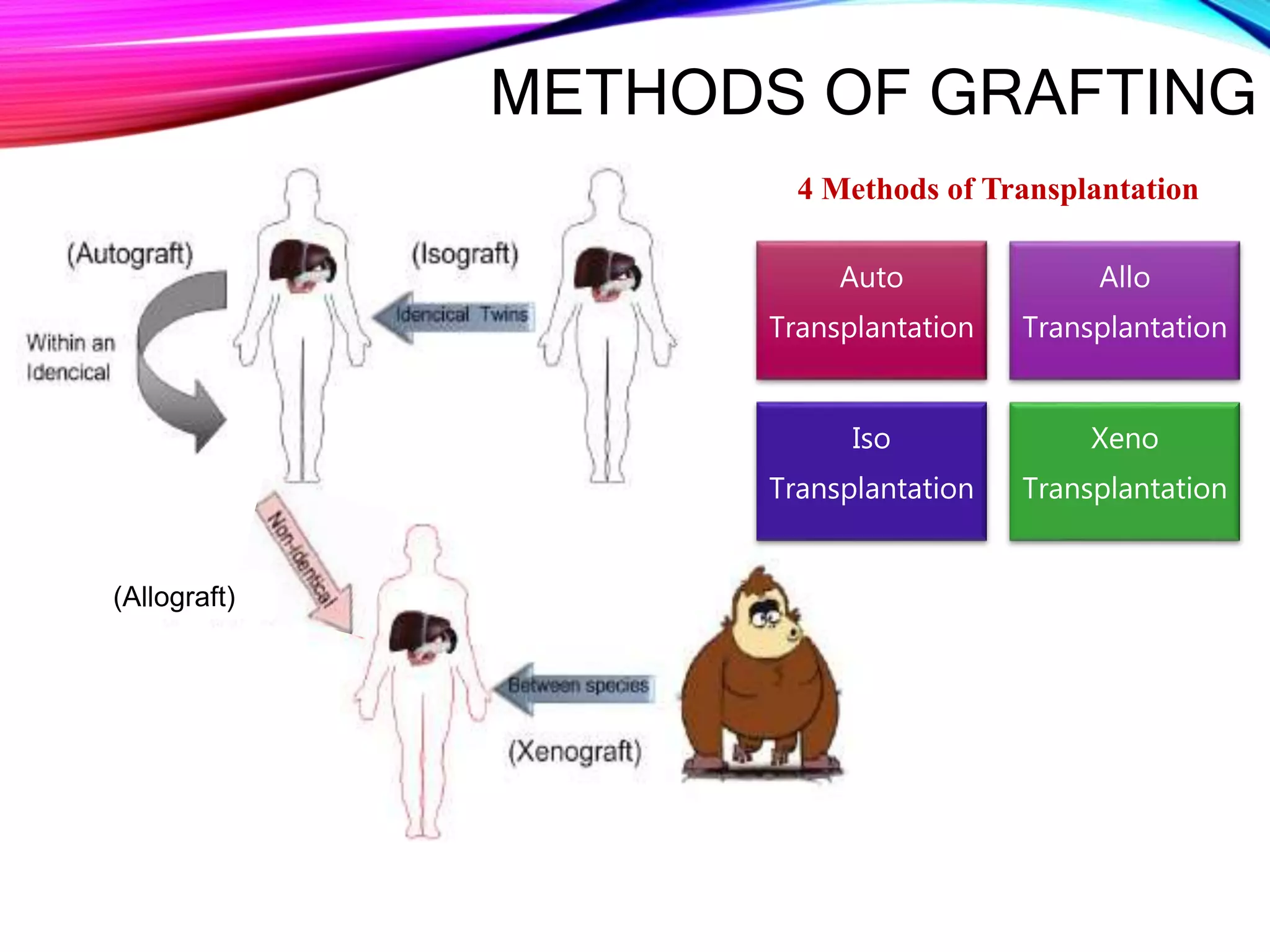 Transplantation | PPTX