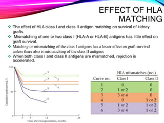 Transplantation | PPTX