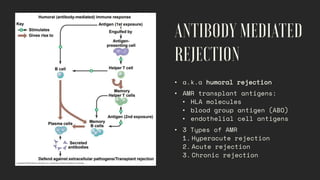 Transplantation Rejection.pptx