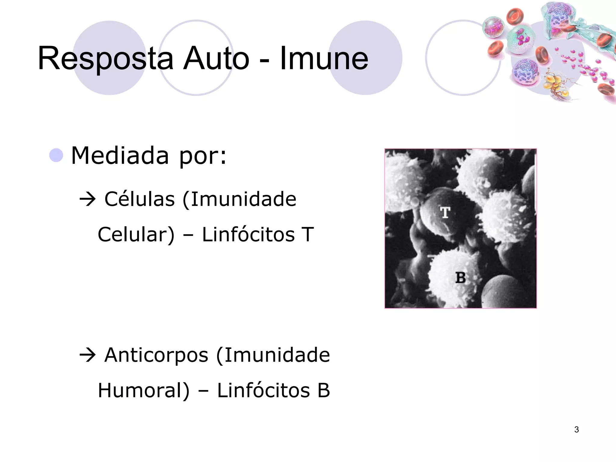 Doenças Auto-Imunes, Transplantes e Alergias | PDF | Allergies ...