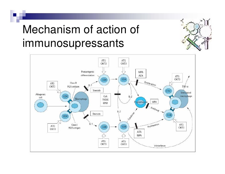 Transplant example presentation