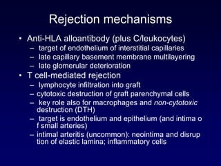 Transplant immunology edd[1] | PPTX