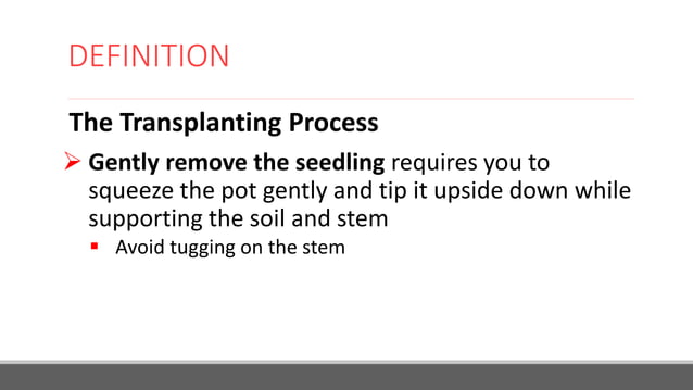 The Transplanting Process (High School).pptx