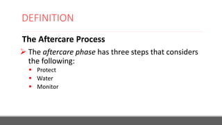 The Transplanting Process (High School).pptx