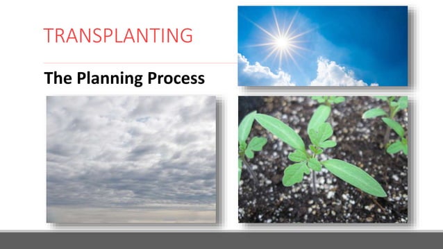 The Transplanting Process (High School).pptx