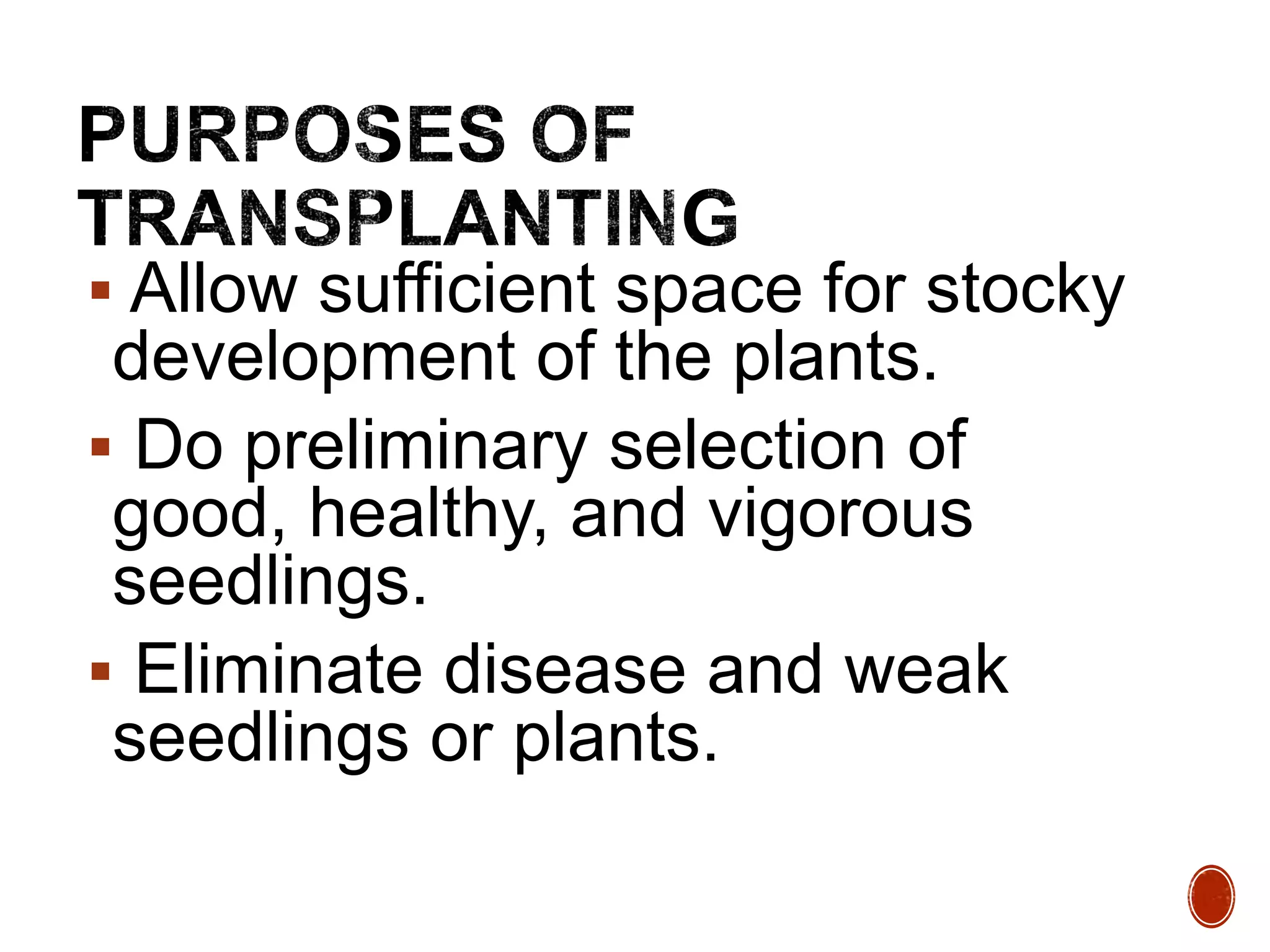 TRANSPLANTING OF VEGETABLE SEEDLINGS.pptx