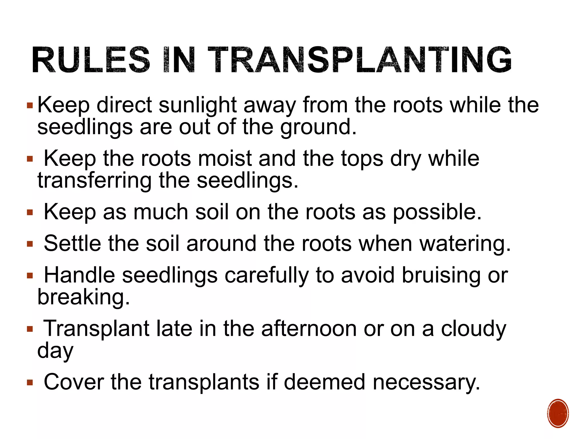 TRANSPLANTING OF VEGETABLE SEEDLINGS.pptx