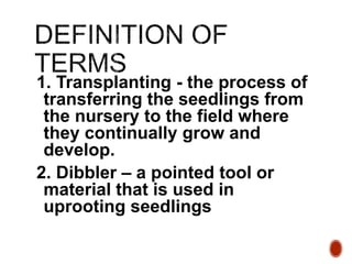 TRANSPLANTING OF VEGETABLE SEEDLINGS.pptx