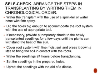 TRANSPLANTING OF VEGETABLE SEEDLINGS.pptx