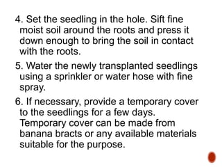 TRANSPLANTING OF VEGETABLE SEEDLINGS.pptx