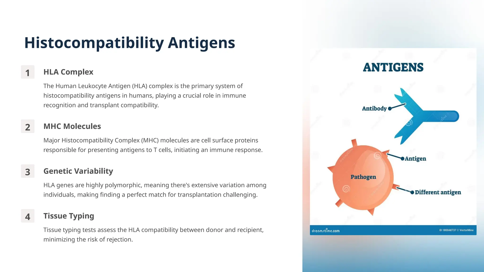 TRANSPLANTION IMMUNOLOGY and it's application | PPTX