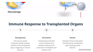 TRANSPLANTION IMMUNOLOGY and it's application | PPTX
