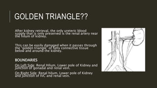 Renal Transplantation (Per-Operative) | PPTX