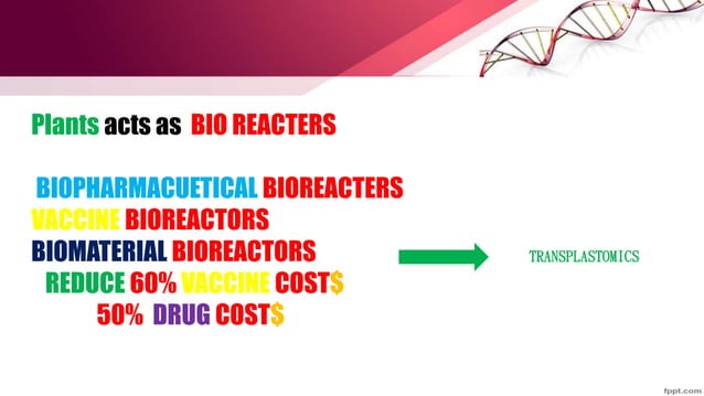 Transplastomics | PPTX